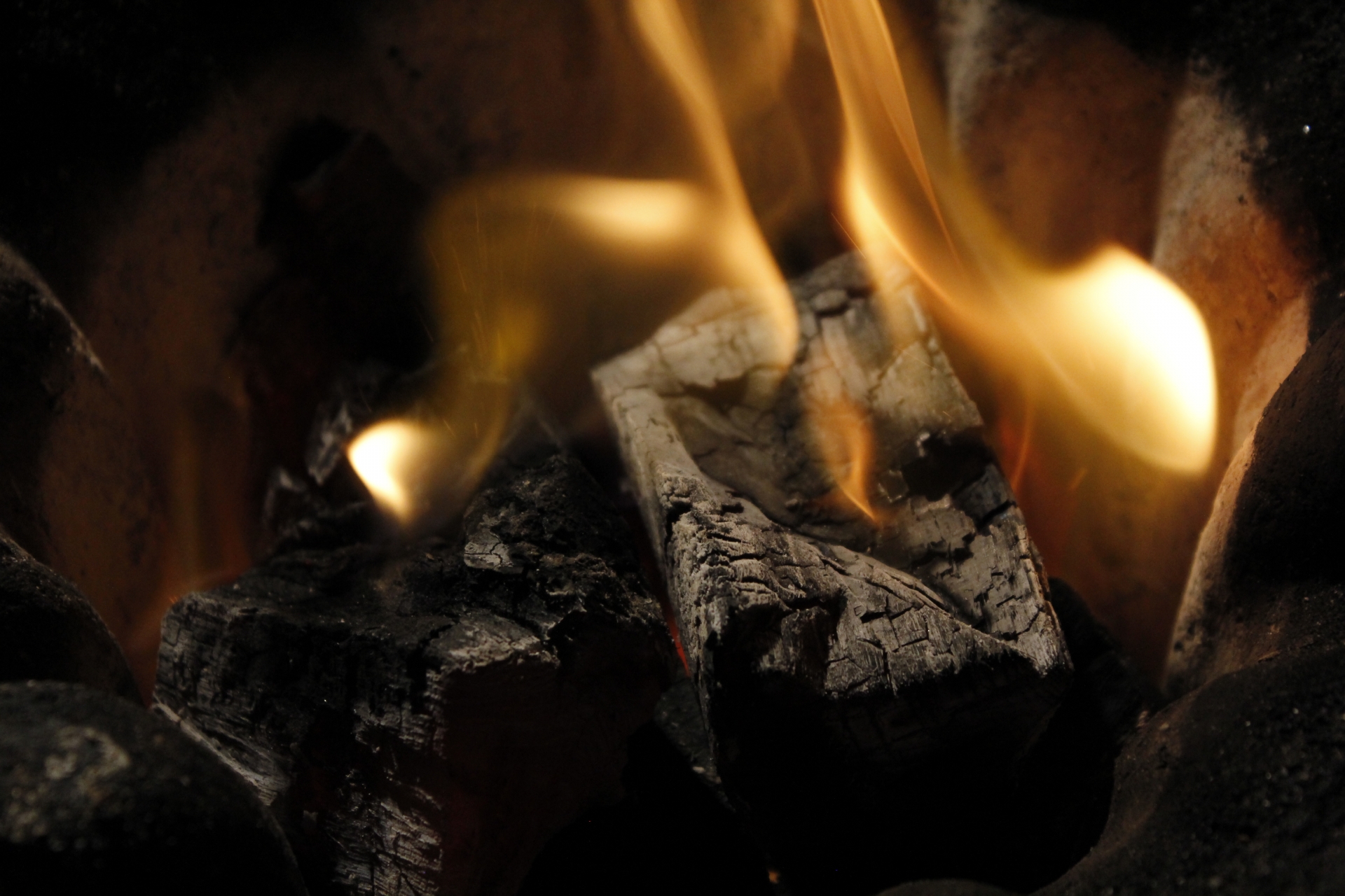 日本酒の作り方とは？製造工程をわかりやすく解説！ | さけふるペディア～Sake&Fruits〜